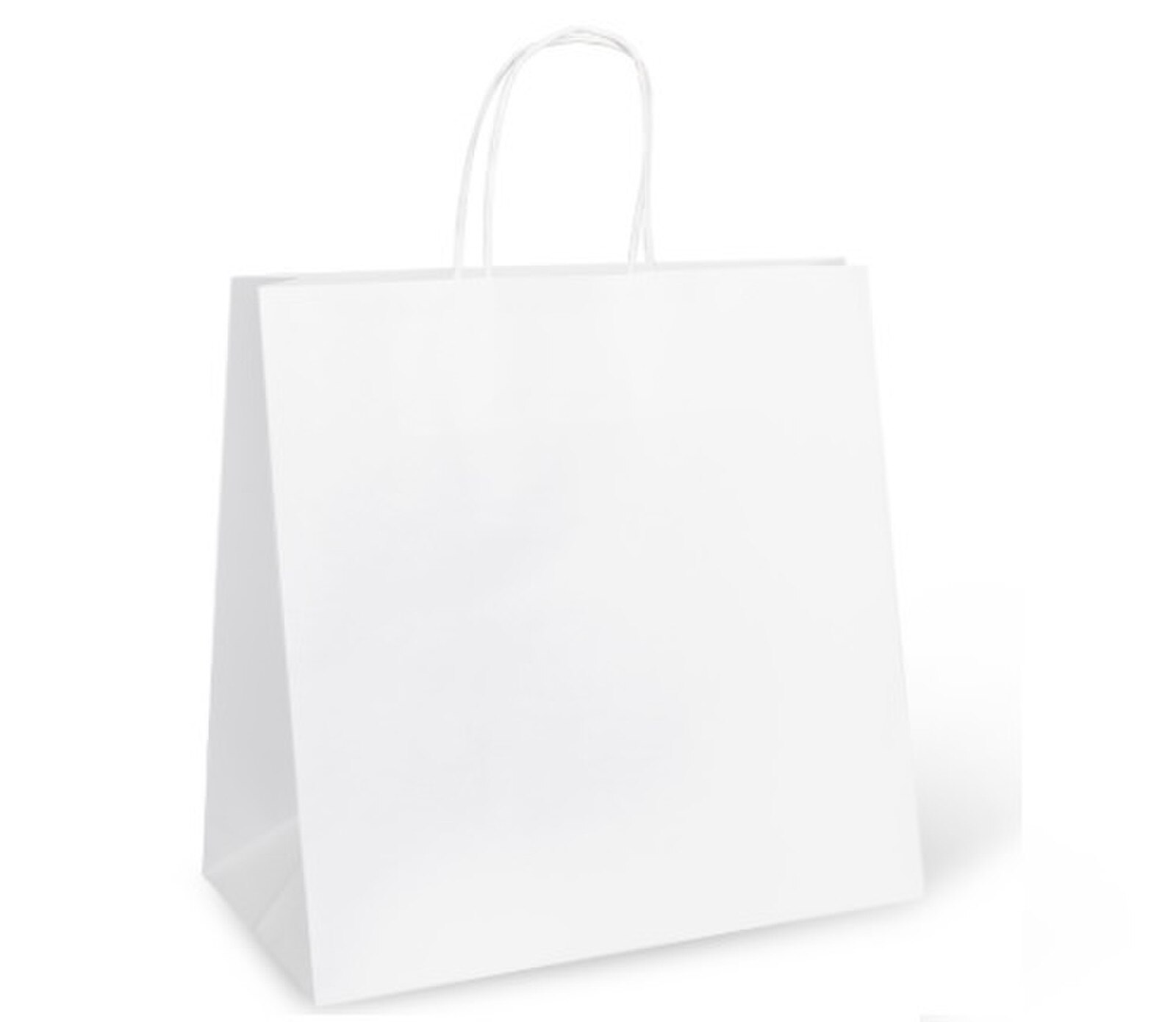 DETPAK WHITE CARRY BAG 305X305X175 (250) C734S0001A