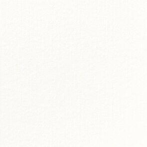 DUNI NAPKIN D-SOFT 48X48CM WHITE 1/4 FOLD (360) 168429